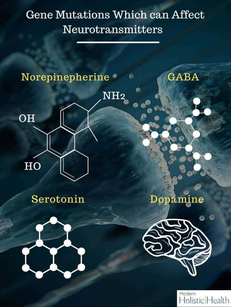 The Wheat – Brain Connection and it’s Major Impact on Mental Health ...